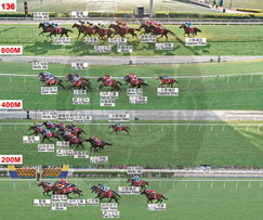 Results - Racing Information - Horse Racing - The Hong Kong Jockey Club