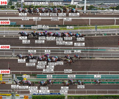 Results - Racing Information - Horse Racing - The Hong Kong Jockey Club