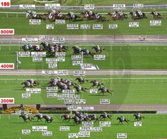 Results - Racing Information - Horse Racing - The Hong Kong Jockey Club