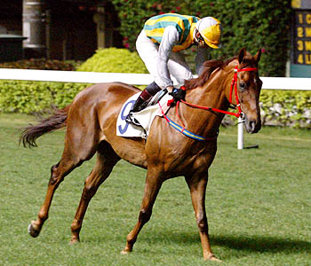 JavaScript must be enabled in order to view this page.