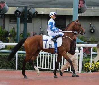 JavaScript must be enabled in order to view this page.