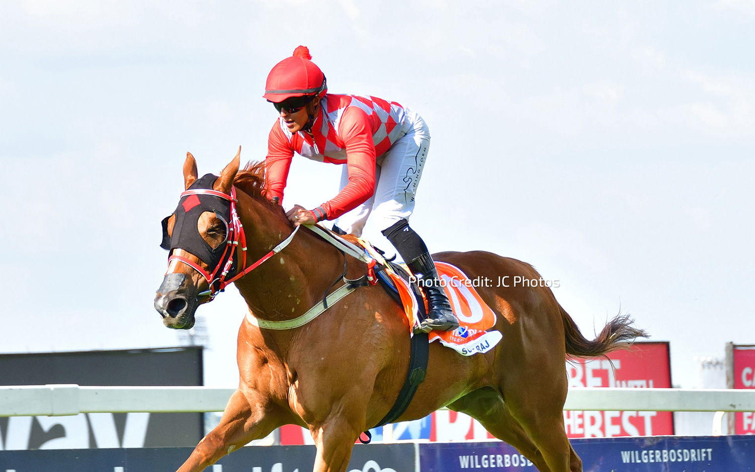 World Pool - Horse Racing - The Hong Kong Jockey Club