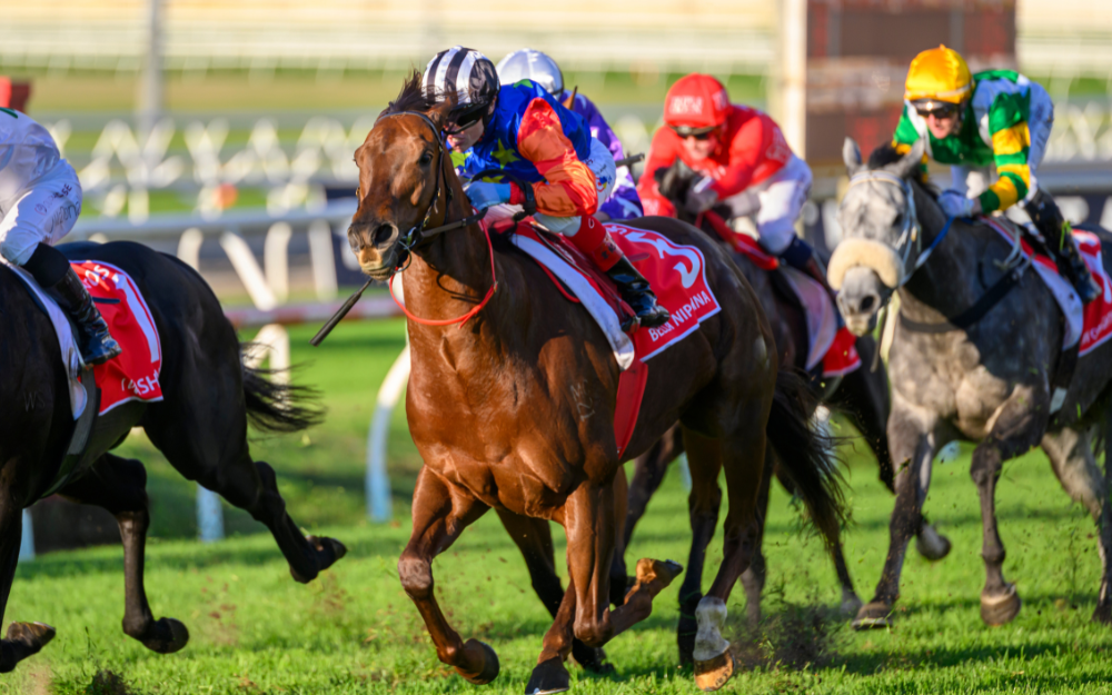 World Pool - Horse Racing - The Hong Kong Jockey Club